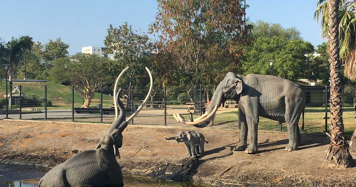Experiencing Los Angeles: Miracle Mile: La Brea Tar Pits, Urban Light ...