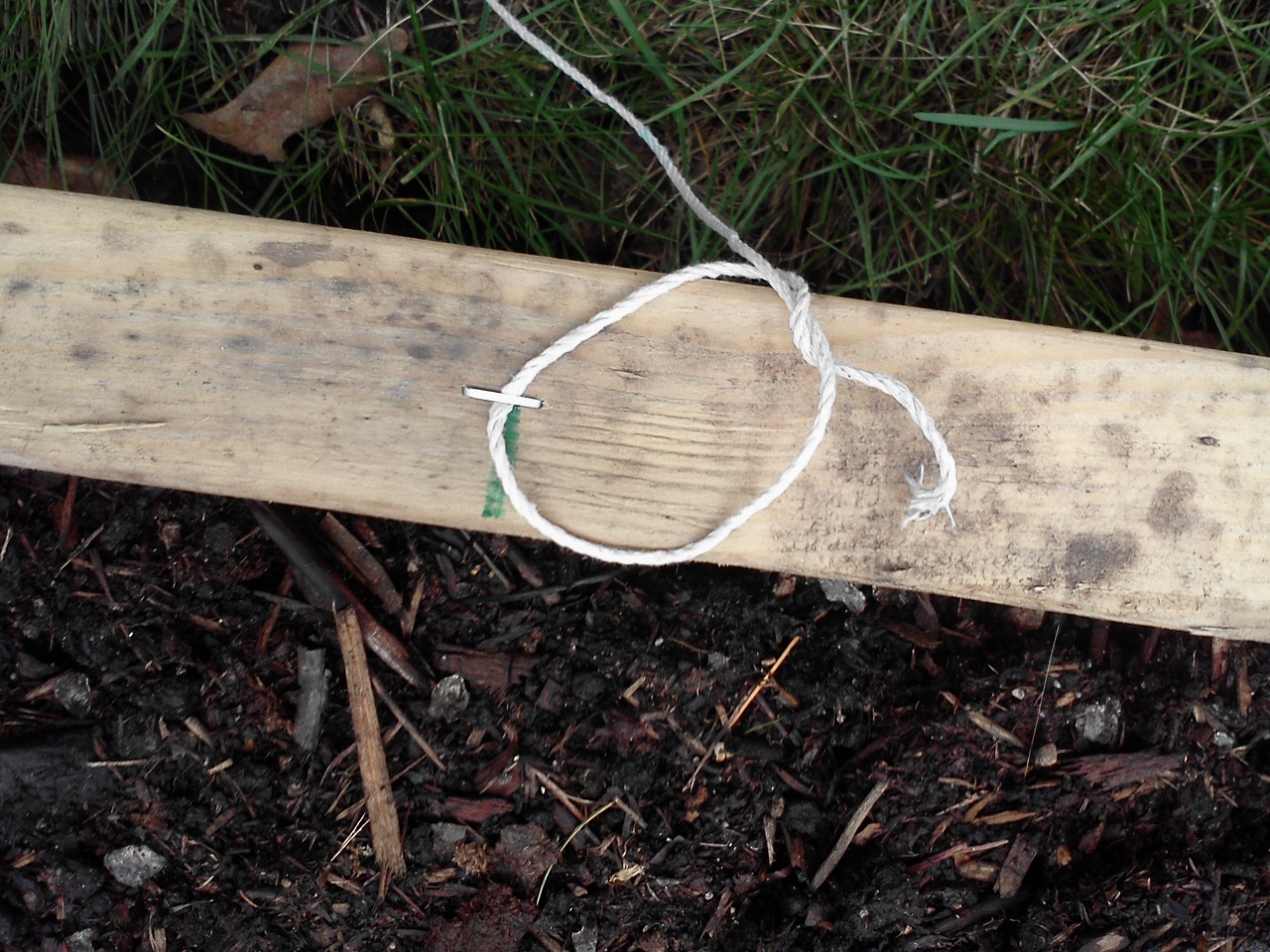 Luminous Home: Building Your Stake