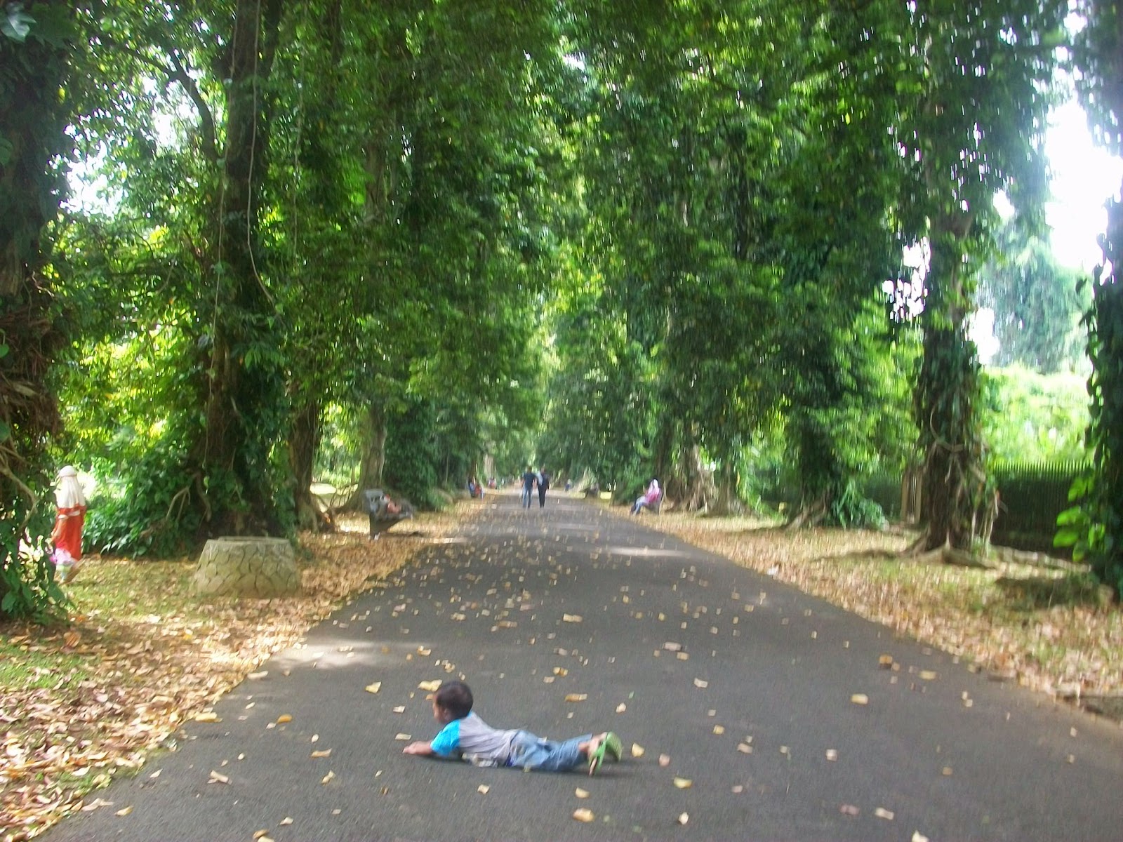 Catatan Kecil Bunda : Visit to Kebun Raya Bogor