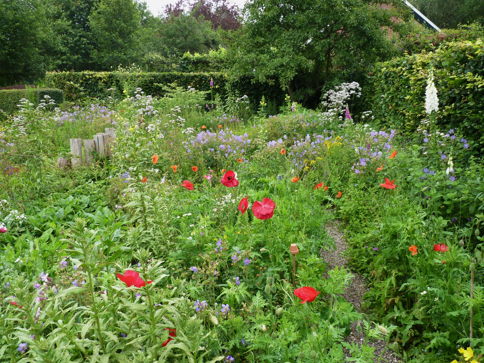 De Houtstek: De 'wilde' tuin