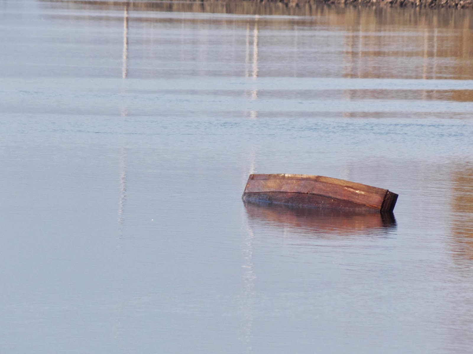 Alaskan Sea-Duction: Floating Turds