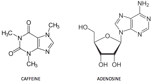 Five Degrees of Freedom: Caffeine - What Is It, And How Does It Work?
