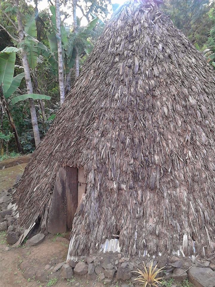 AFRICAN KING TOURS & SAFARIS: August 2014