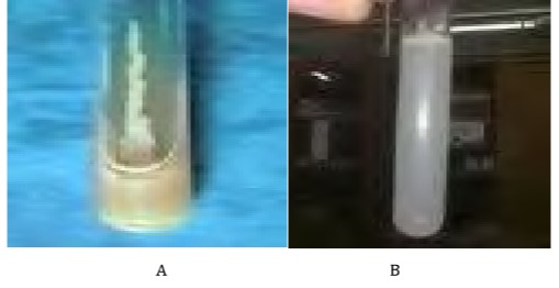 AsalSharing: INOKULASI DAN ISOLASI | asalshareinfo