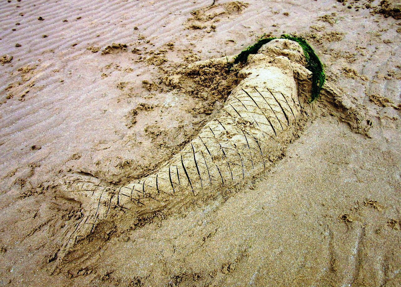 Largo Baywatch: Mermaid on the Beach