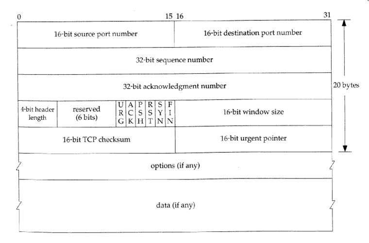 Digitally Stimulated Tcp Ip And The Data Flow
