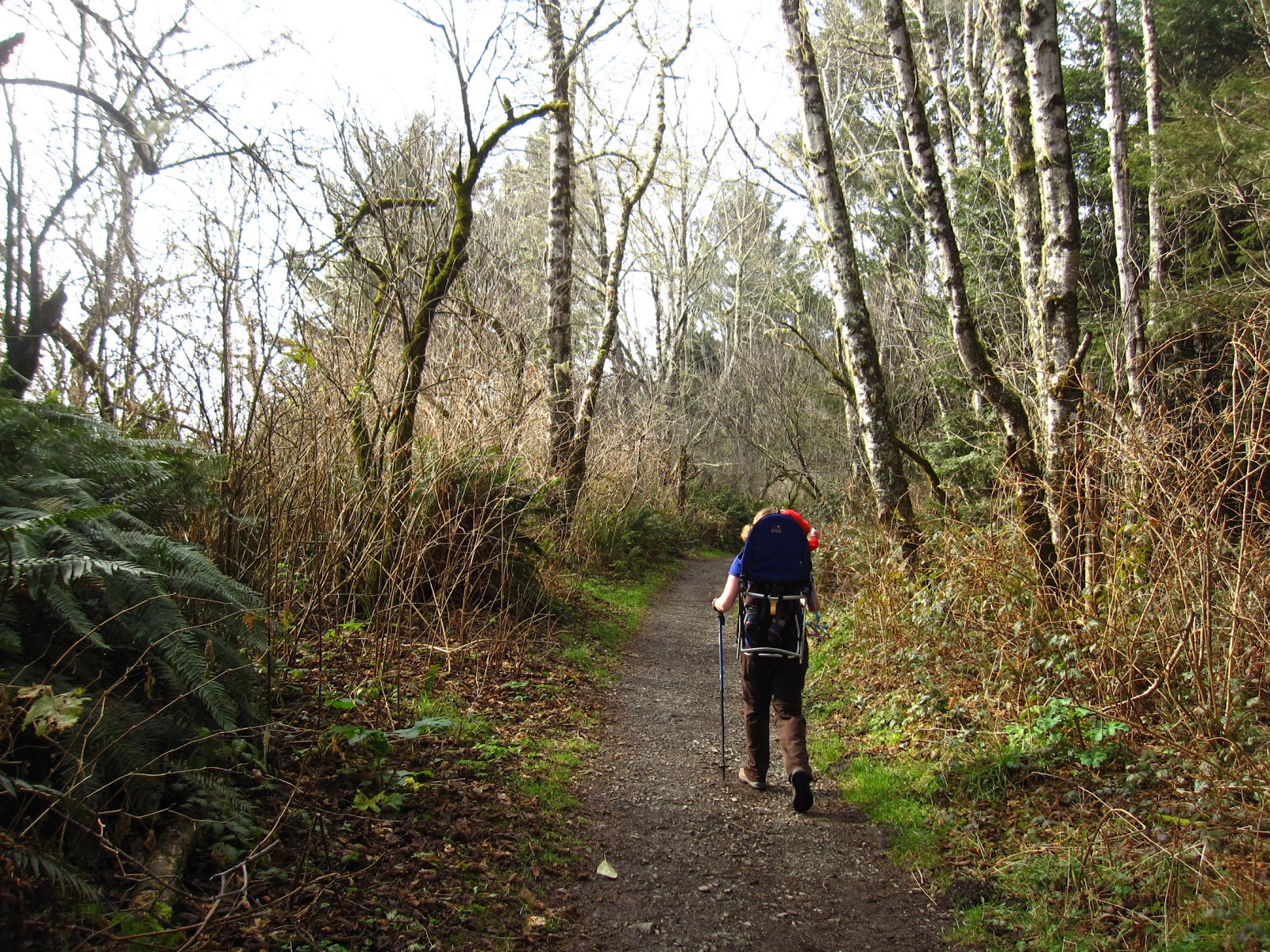 The Traveling Backpackers II: A long hike in Trinidad