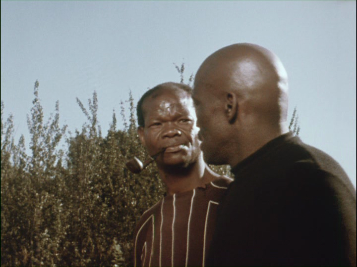 The Department of Afro American Research, Arts and Culture