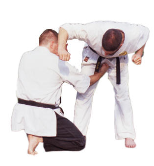 TRAINING SKOT: "Pukulan dengan pisau tangan (sutho uchi)"