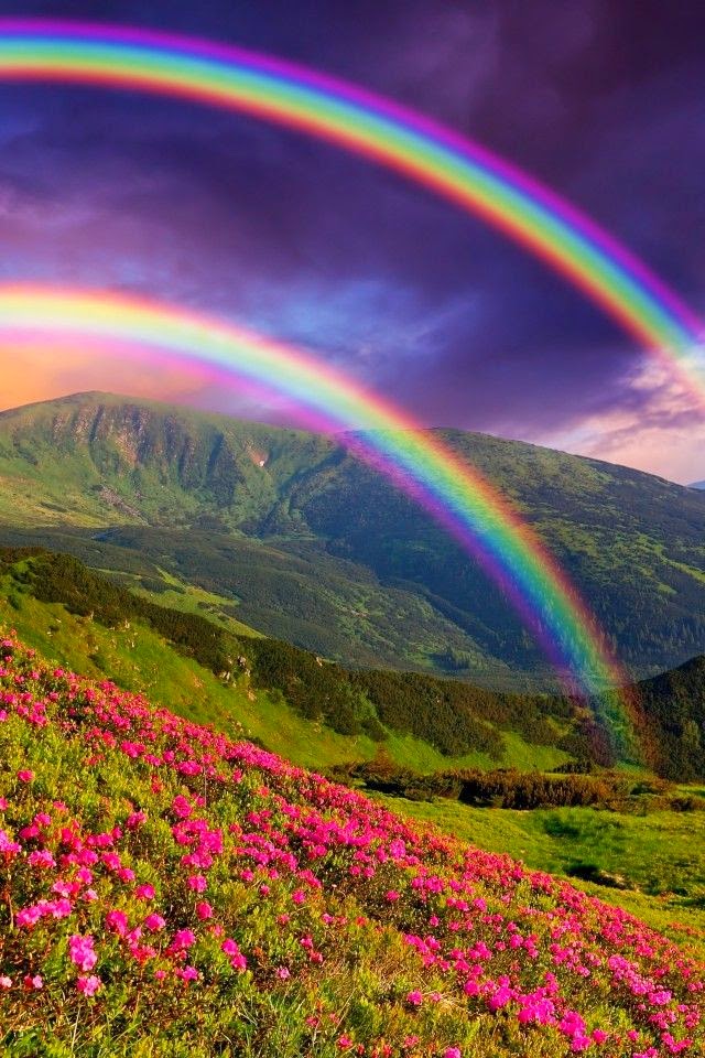 Rainbow ~ Stunning nature