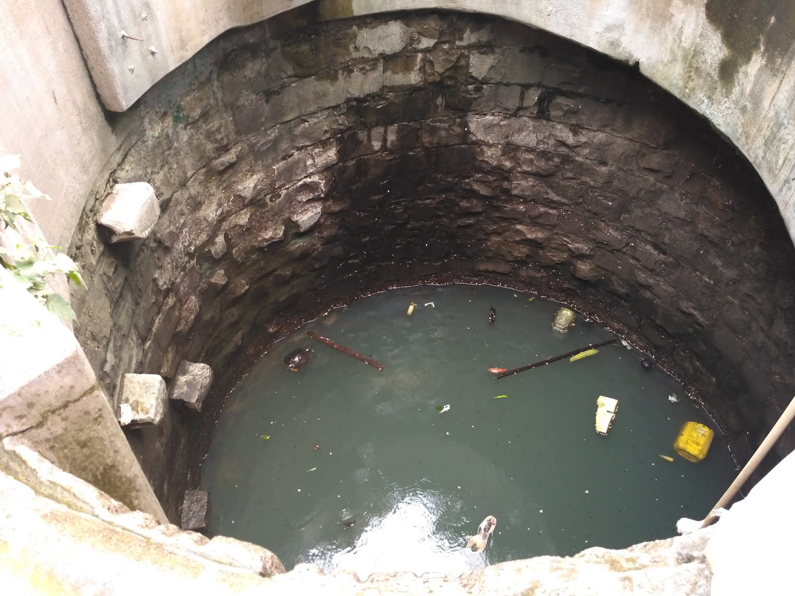 Biome Trust: Open wells in Vile Parle, Mumbai.