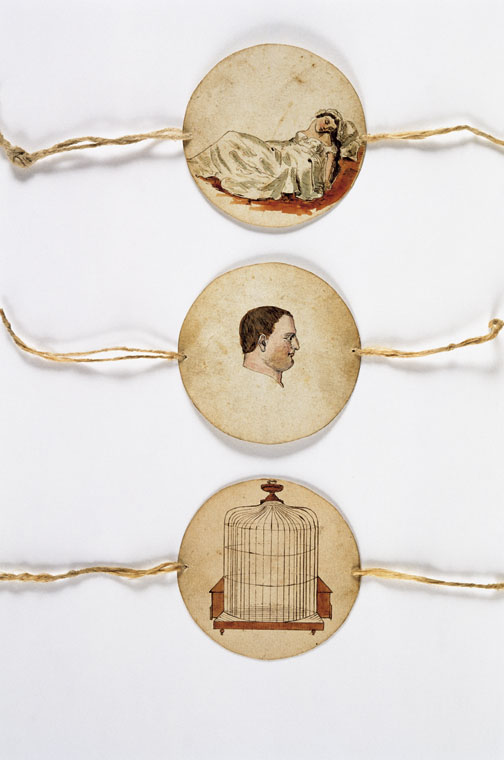 Wunderkammer: Thaumatrope