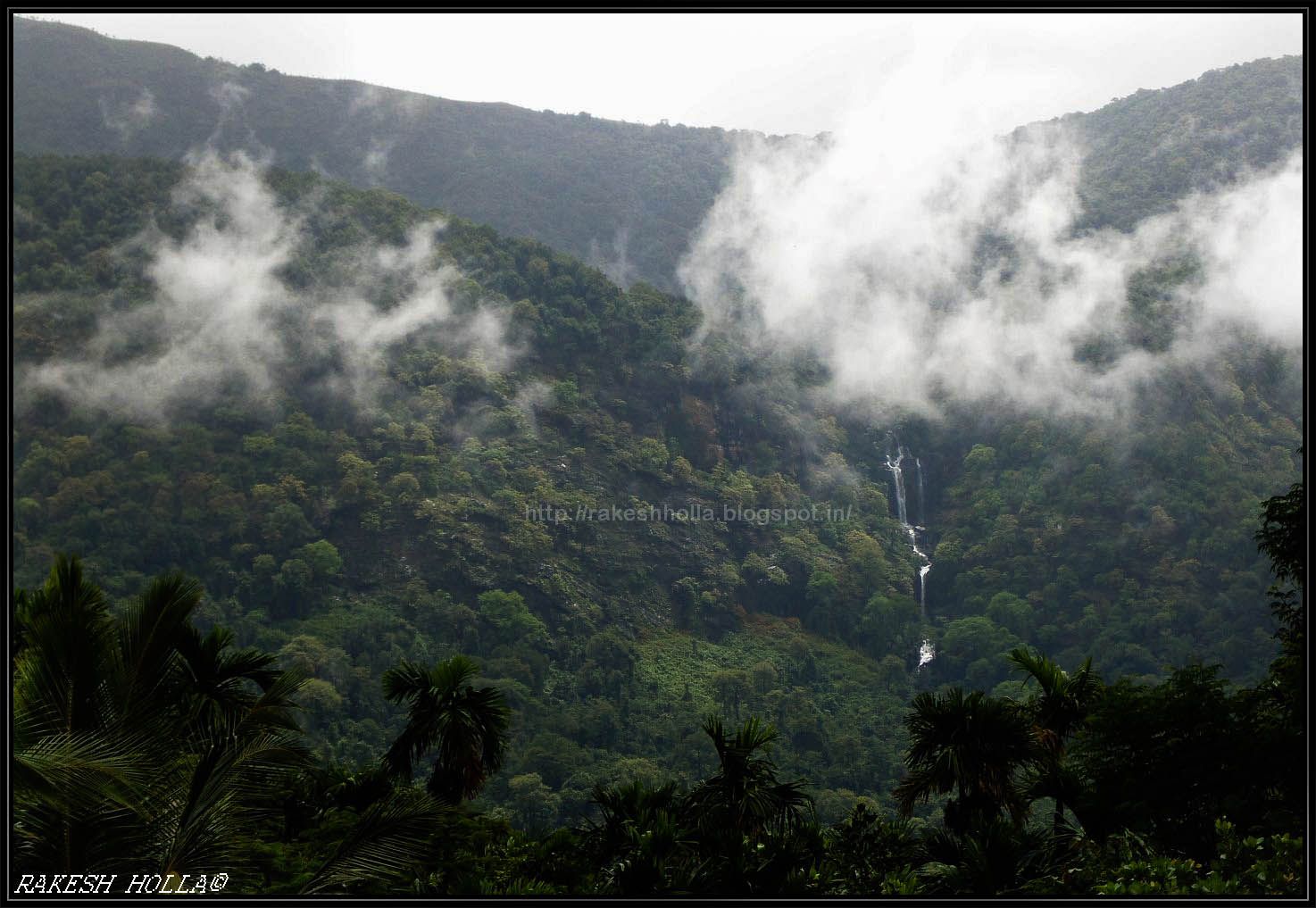 The Voice of Greenery - Trekking and Travelling in Western Ghats ...