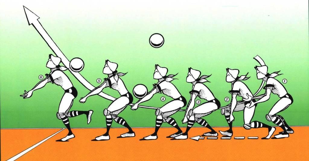 Fundamento del Voleibol