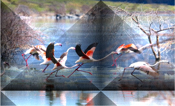 Mary Tutorials: Fauna