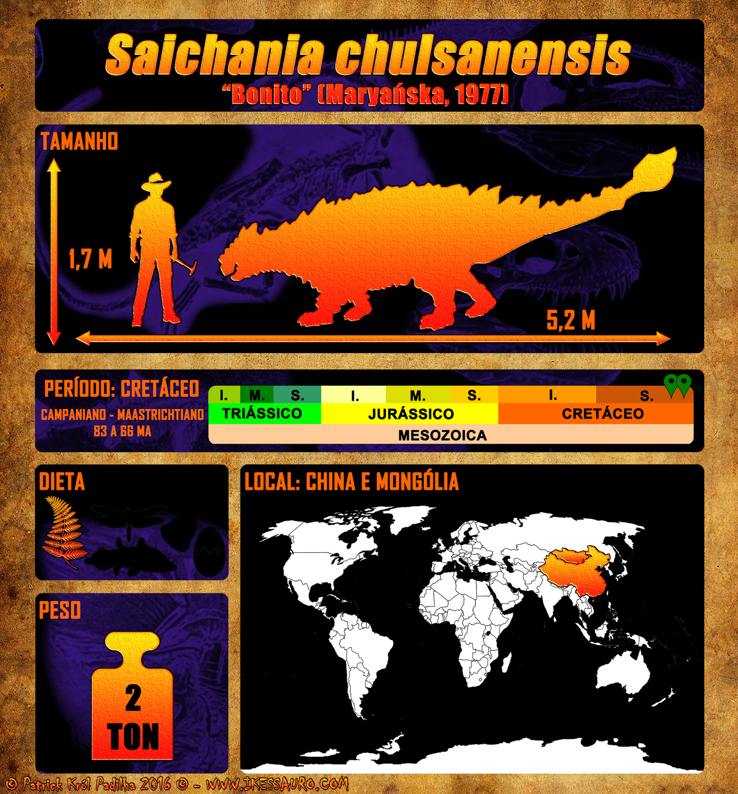 Saichania | Ikessauro