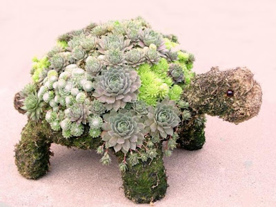 encore: Quick and Easy Project::A Succulent Table Garden