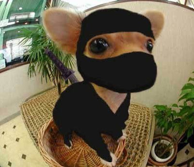 The Official Ninja News NINJA CHIKUWA: NINJA DOGS