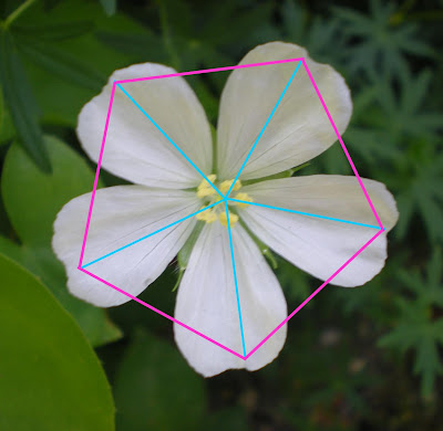 mi mundo de papel: flores