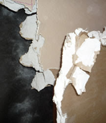 Check for Toxic Drywall at 6225 Red Pine Court, Las Vegas, 89130