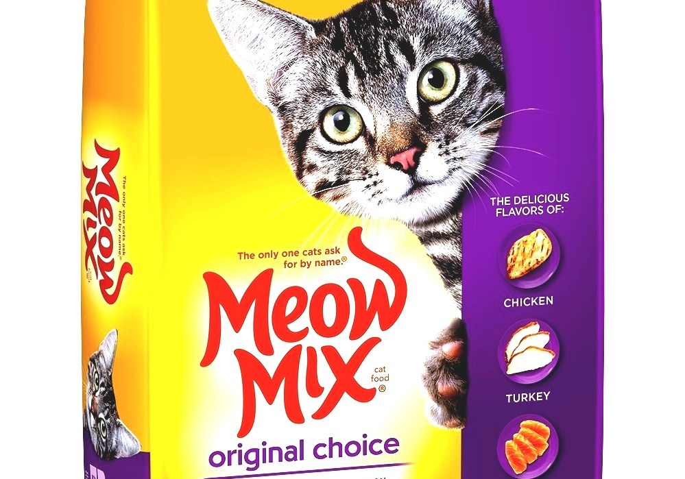 Category Cat Food Brands Brands Of Cat Food category-cat-food-brands-brands-of-cat-food