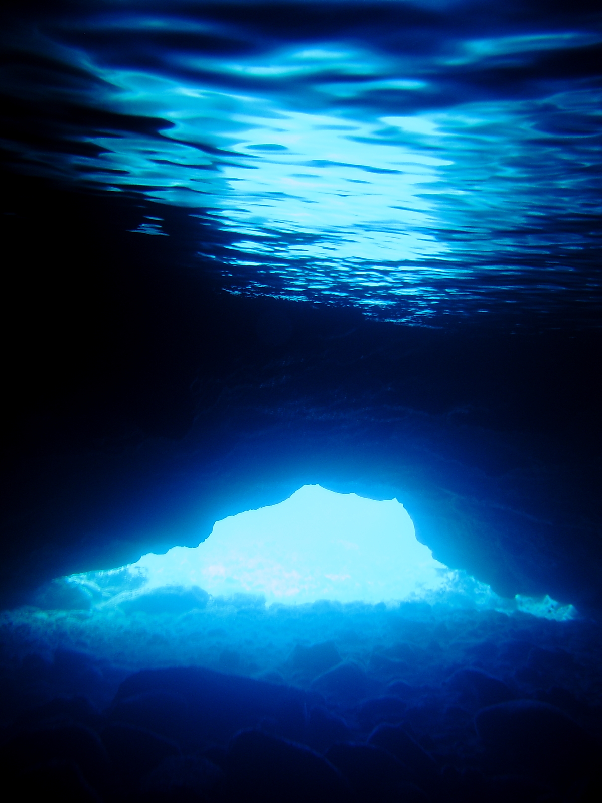 Capturing the Moment: Maui Underwater Perspective