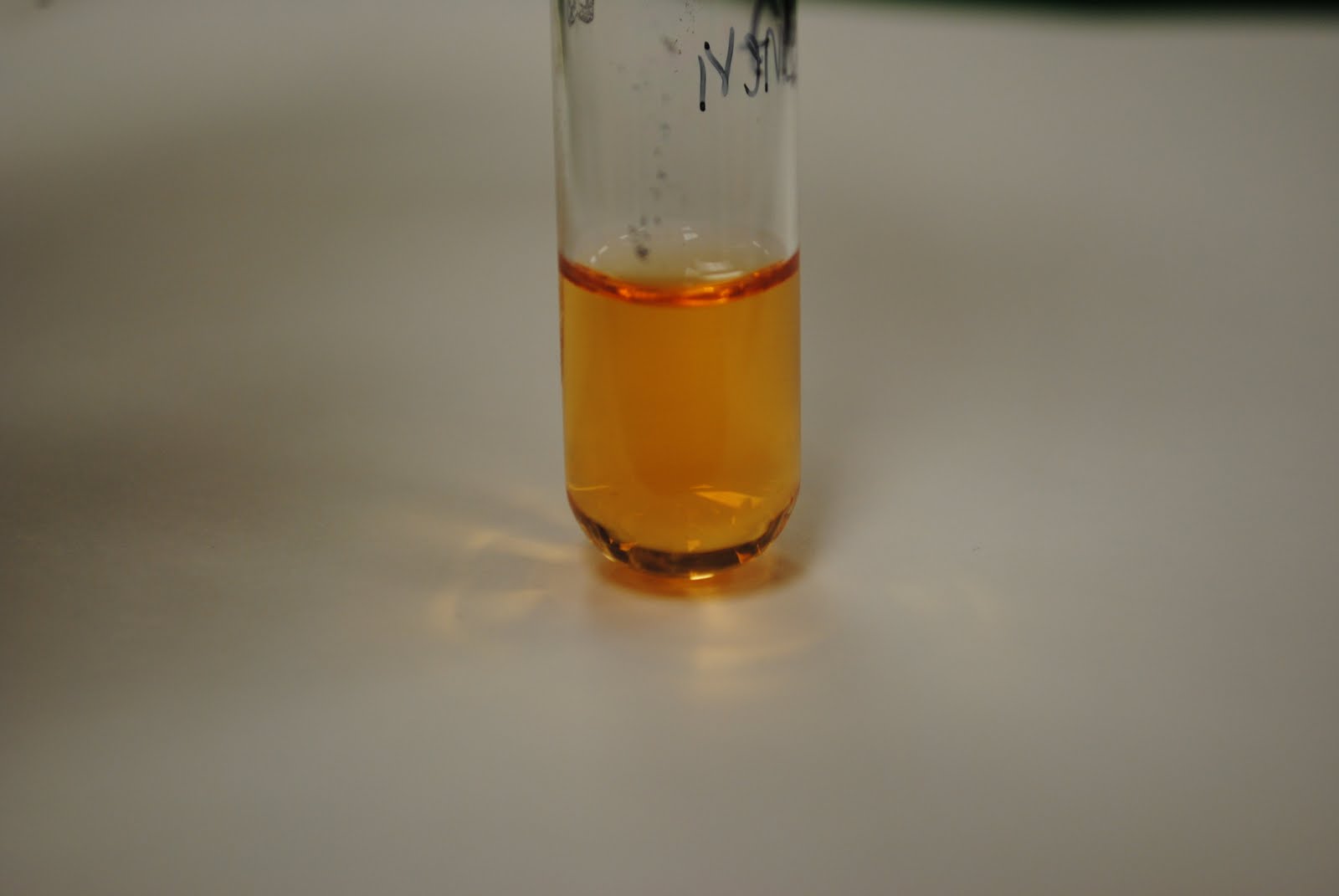 Biology Writing: Andrew Faust: Lab Report: Urea Hydrolysis Test