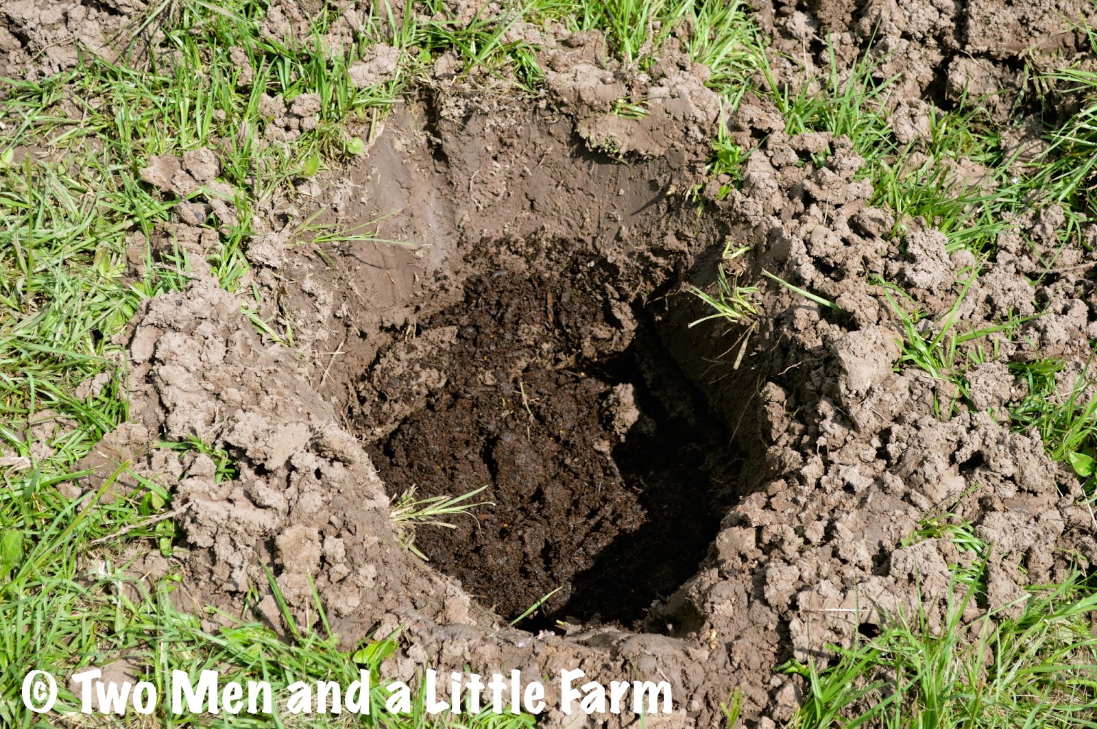 Two Men and a Little Farm: HOLE PROBLEM SOLVED, NEW EARTH AUGER