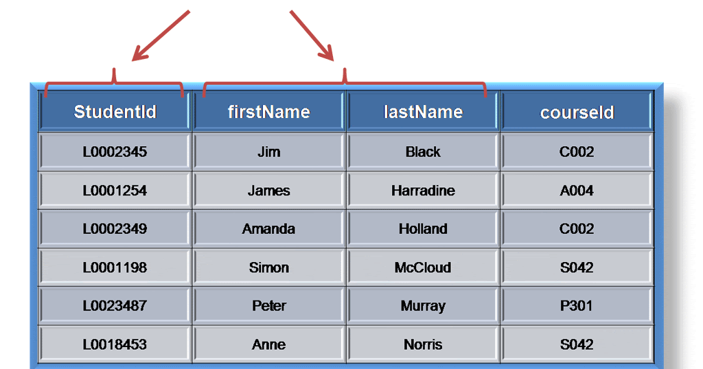 Notes on DBMS: Database Keys Notes on DBMS: Database Keys
