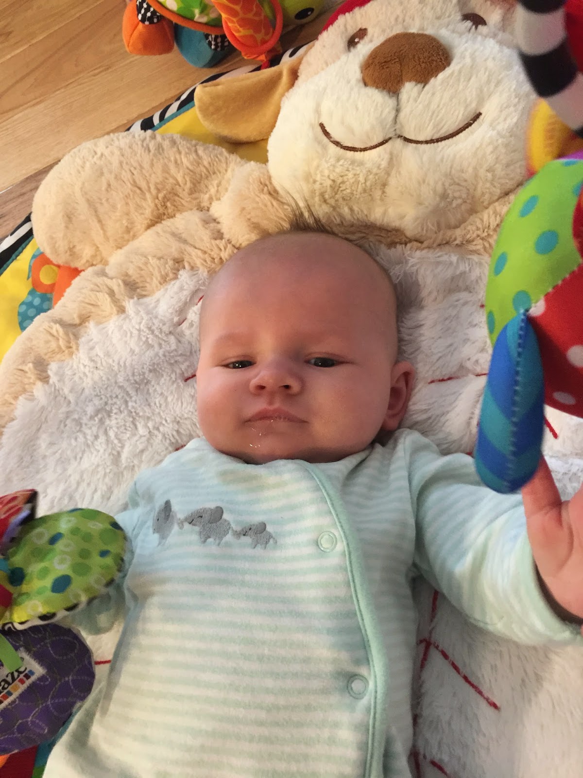 Harry Times...All Jacked Up: Henry, pretty much the best baby ever ...