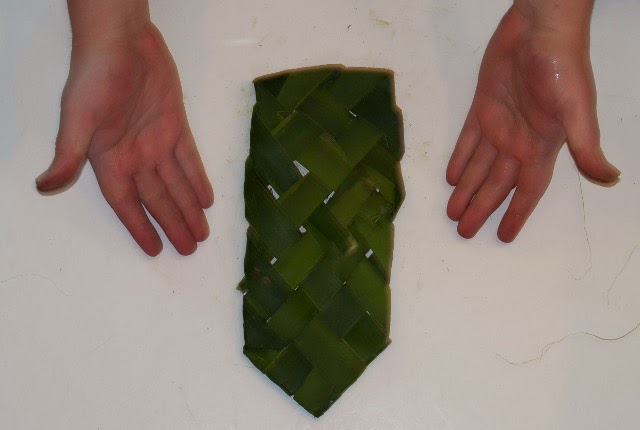 Paleotechnology: Yucca Sandals #1