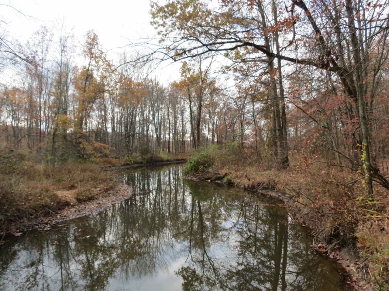 Gone Hikin': Great Swamp National Wildlife Refuge, NJ - Blue Trail