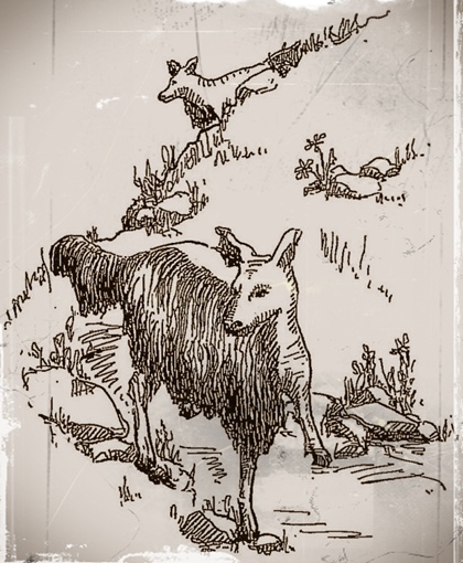 Mundos propios: abril 2013