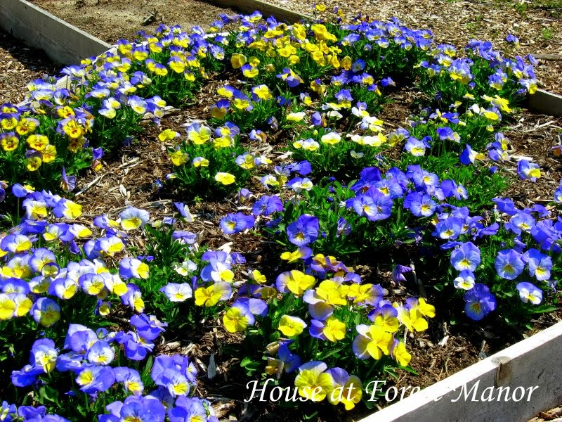 House at Forest Manor: Springtime in Reynolda Gardens