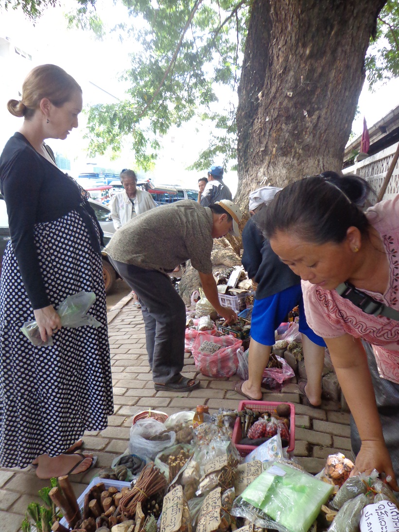 The Frog & The Moon: Pre-Natal Herbal Medicine - Hmong Style