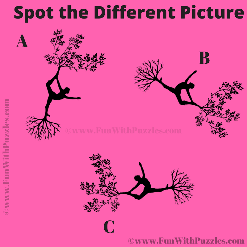 Picture Puzzle: Brain Teaser to Spot the Odd One Out