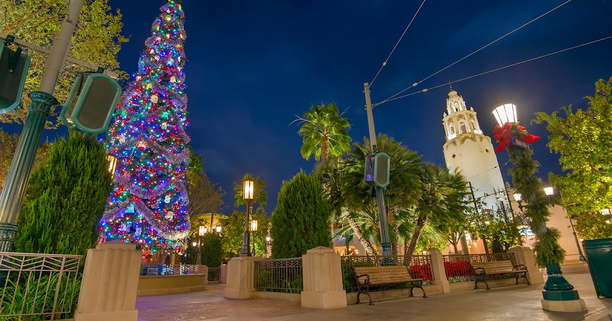 Disney Photoblography