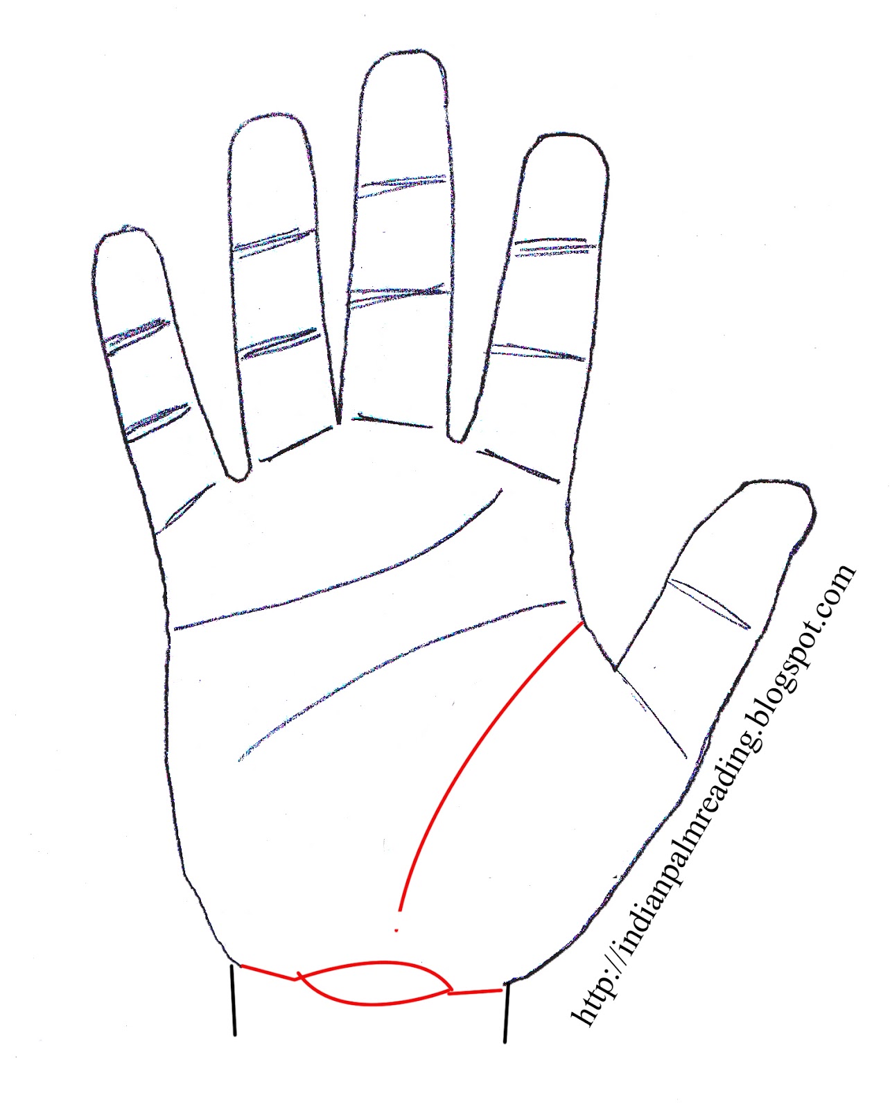 How Check Pitra Dosh Through Hand Lines In Palmistry ~ INDIAN PALMISTRY ...