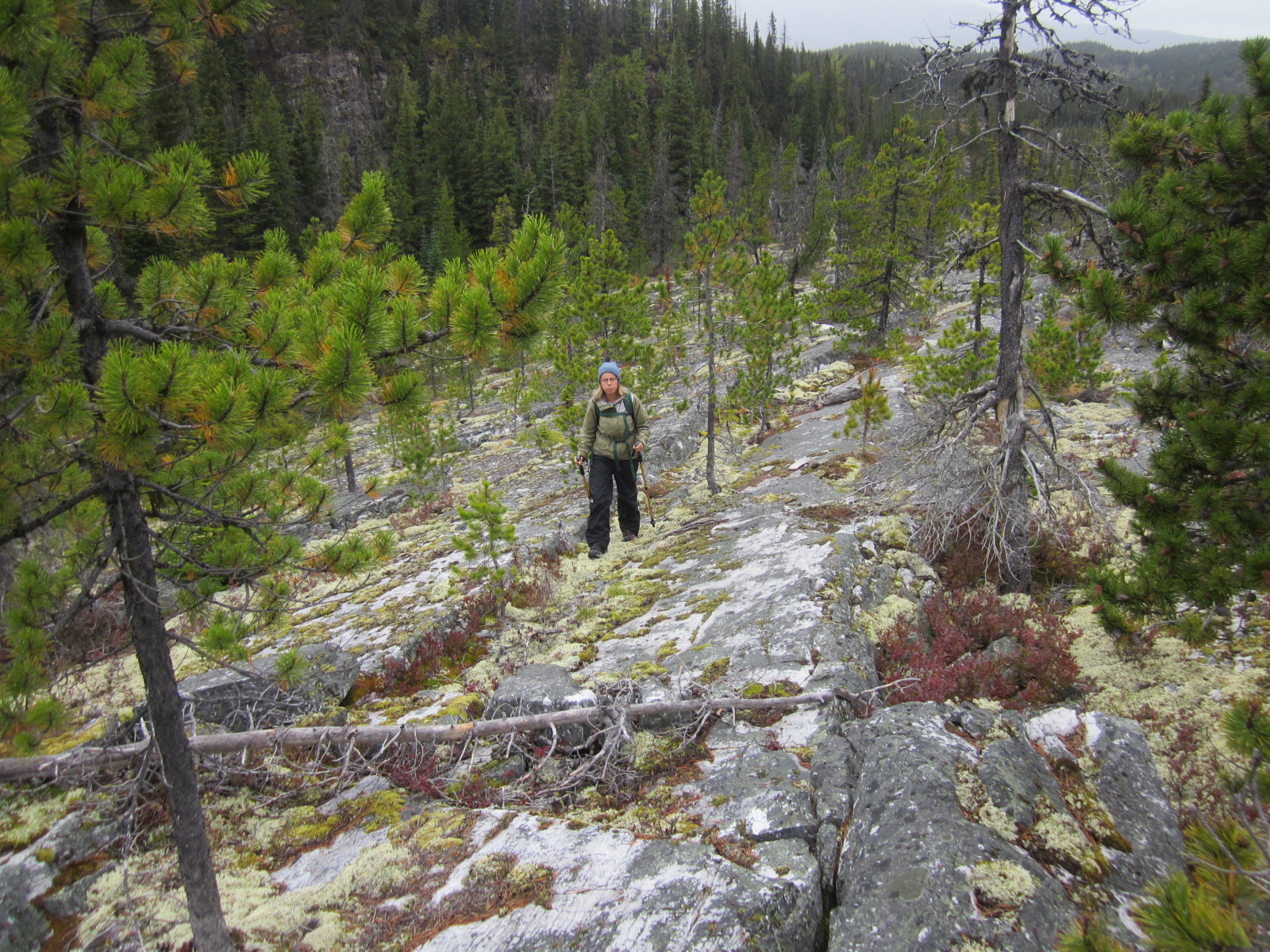 DaveFromGP: Monkman Pass Memorial Trail