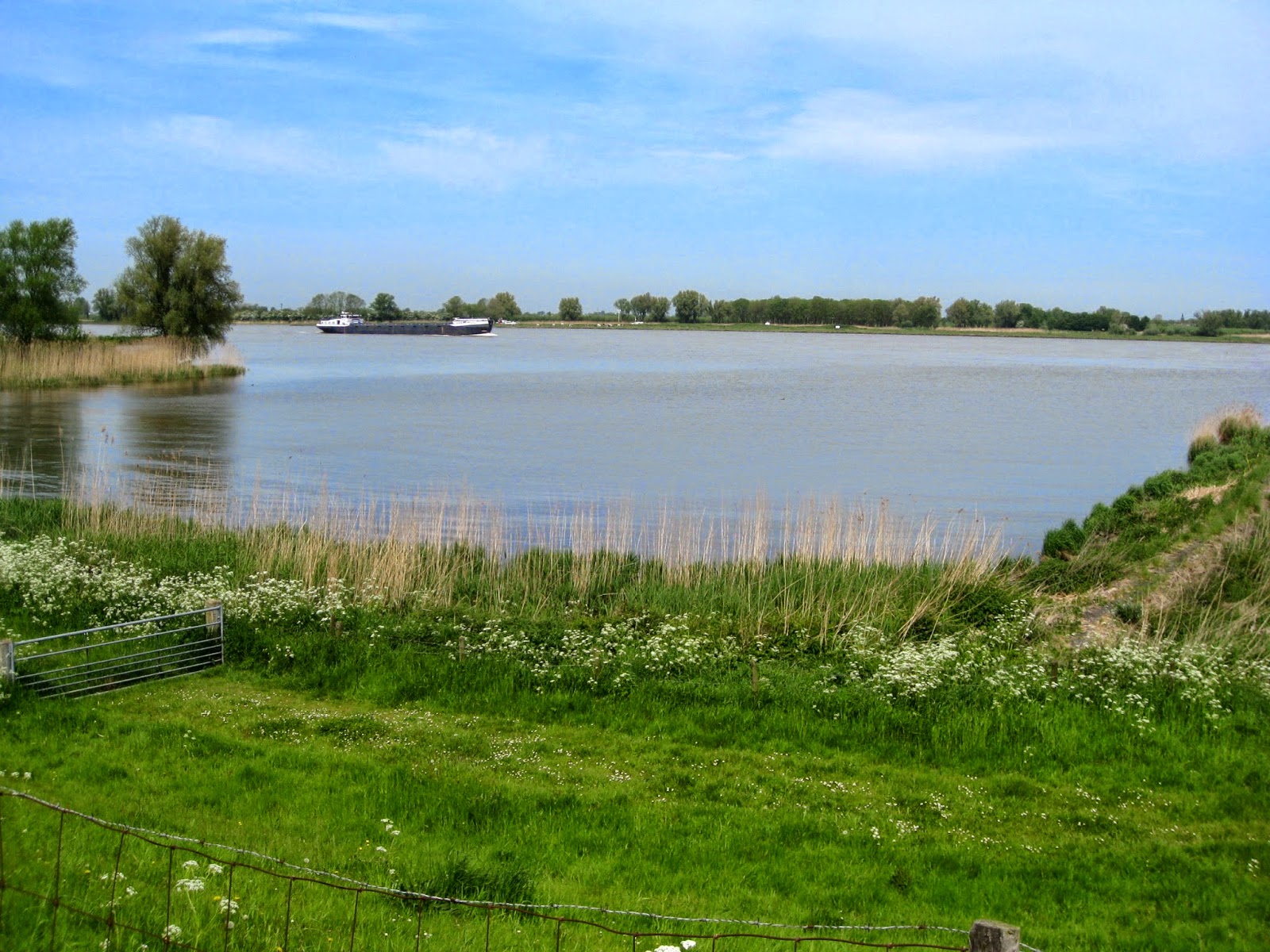 TOUR DE FRANS: May 2015