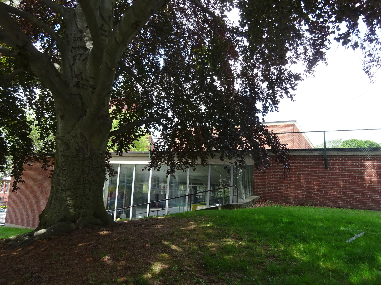 Life From The Roots: Medford Public Library, Medford, Massachusetts ...
