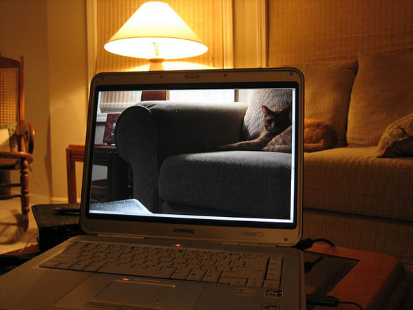 25 Coolest Transparent Screen Trick Examples | Mow Design | Graphic ...