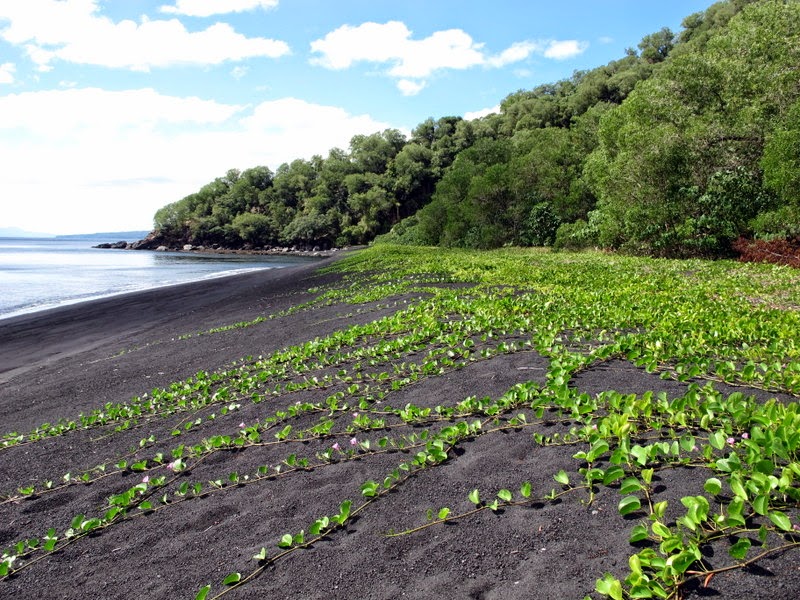 Cruising in Kelaerin: Ambrym Island, Vanuatu 2014