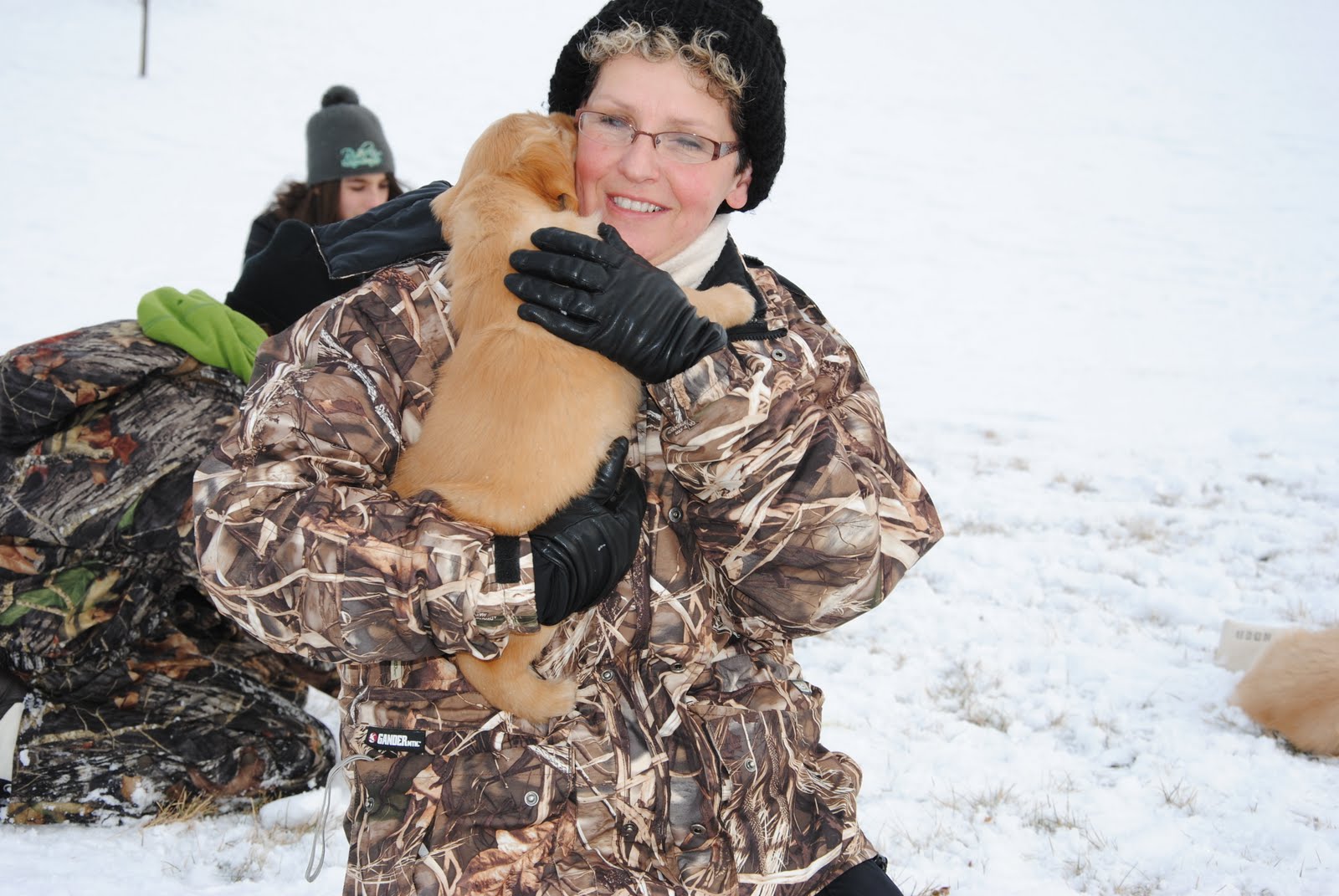 Training with the Big Dogs - Tidewater Golden Retrievers