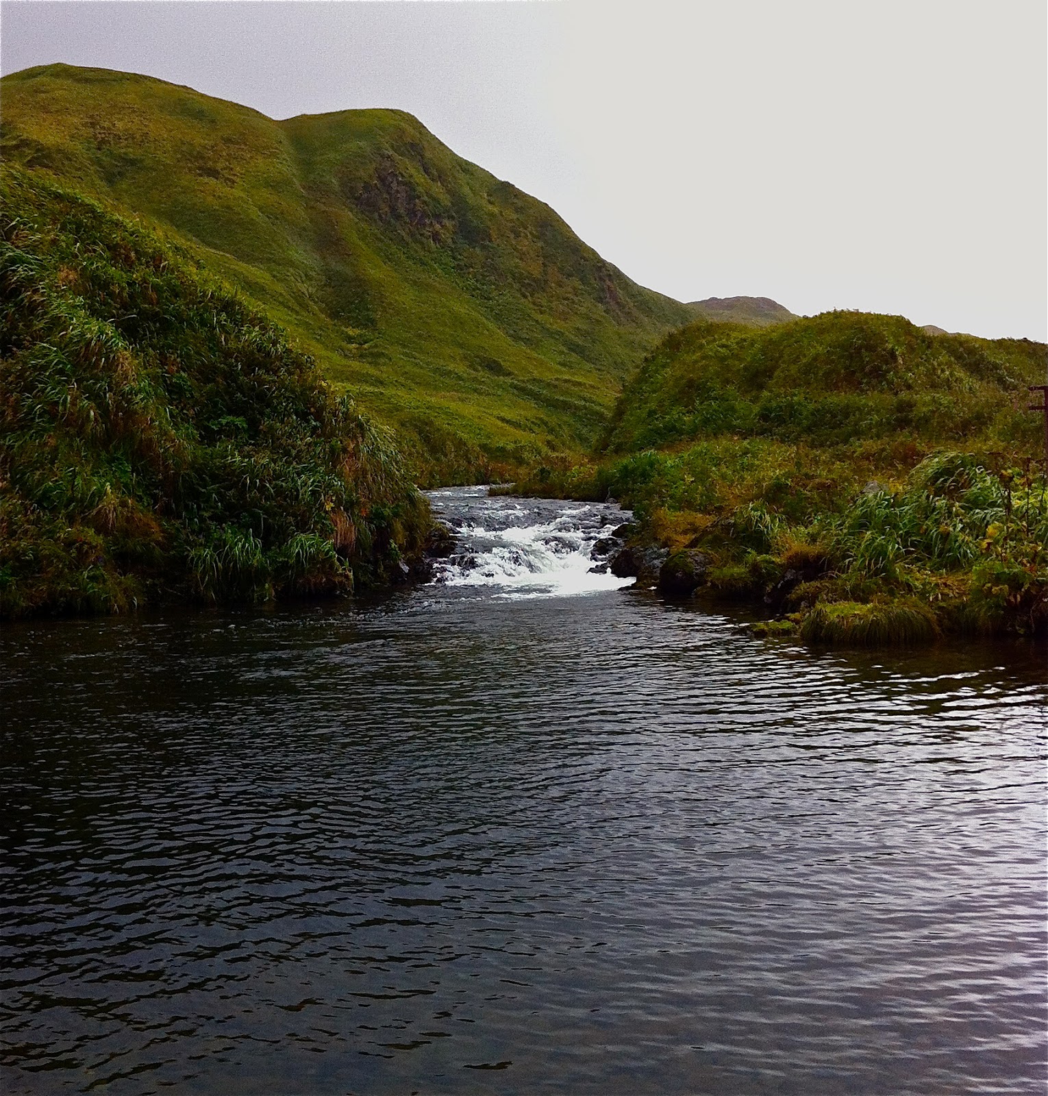 We Can See Russia - Notes from a Small Island: Stream to Table