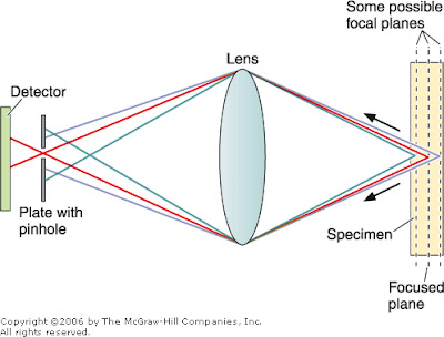 De Histology: Phase-Contrast Microscopy & Differential Interference ...