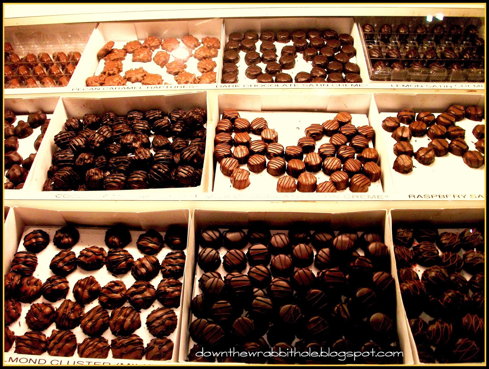 Down the Wrabbit Hole - The Travel Bucket List: Visit a Cactus Garden ...