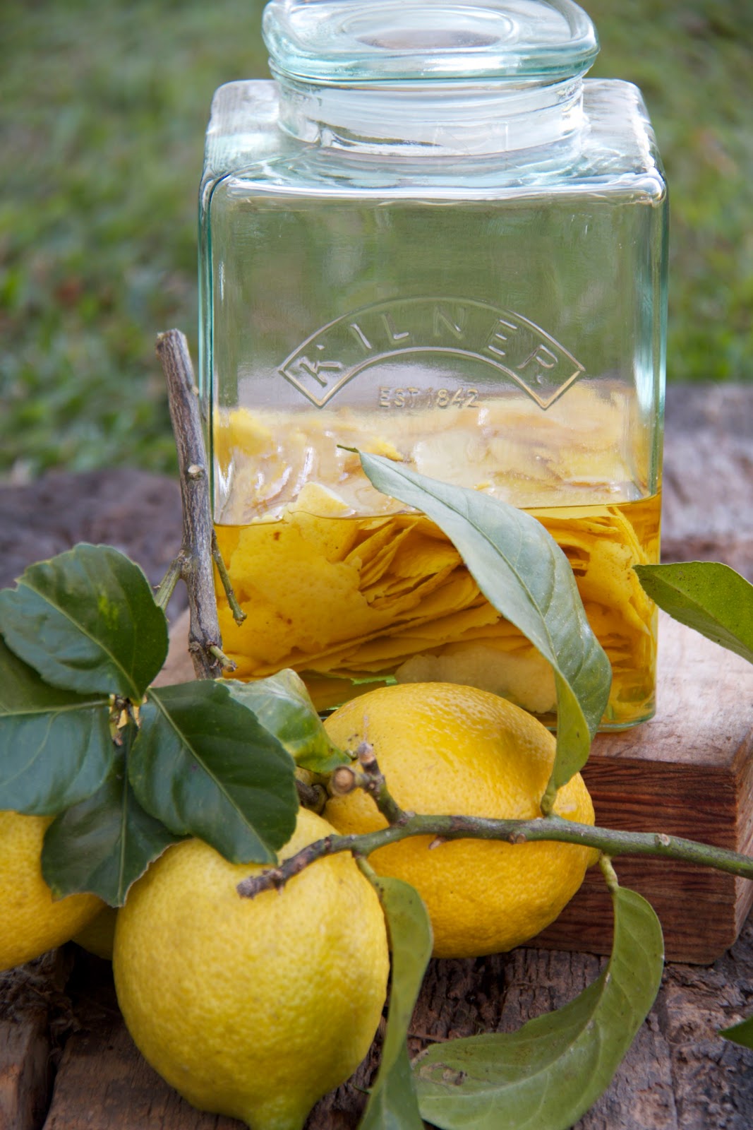JUstDreamInparadise: What to do with an excess of LEMONS!