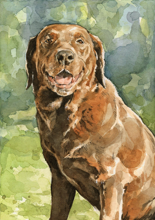Watercolor illustration by studio tuesday: Dog portrait watercolor