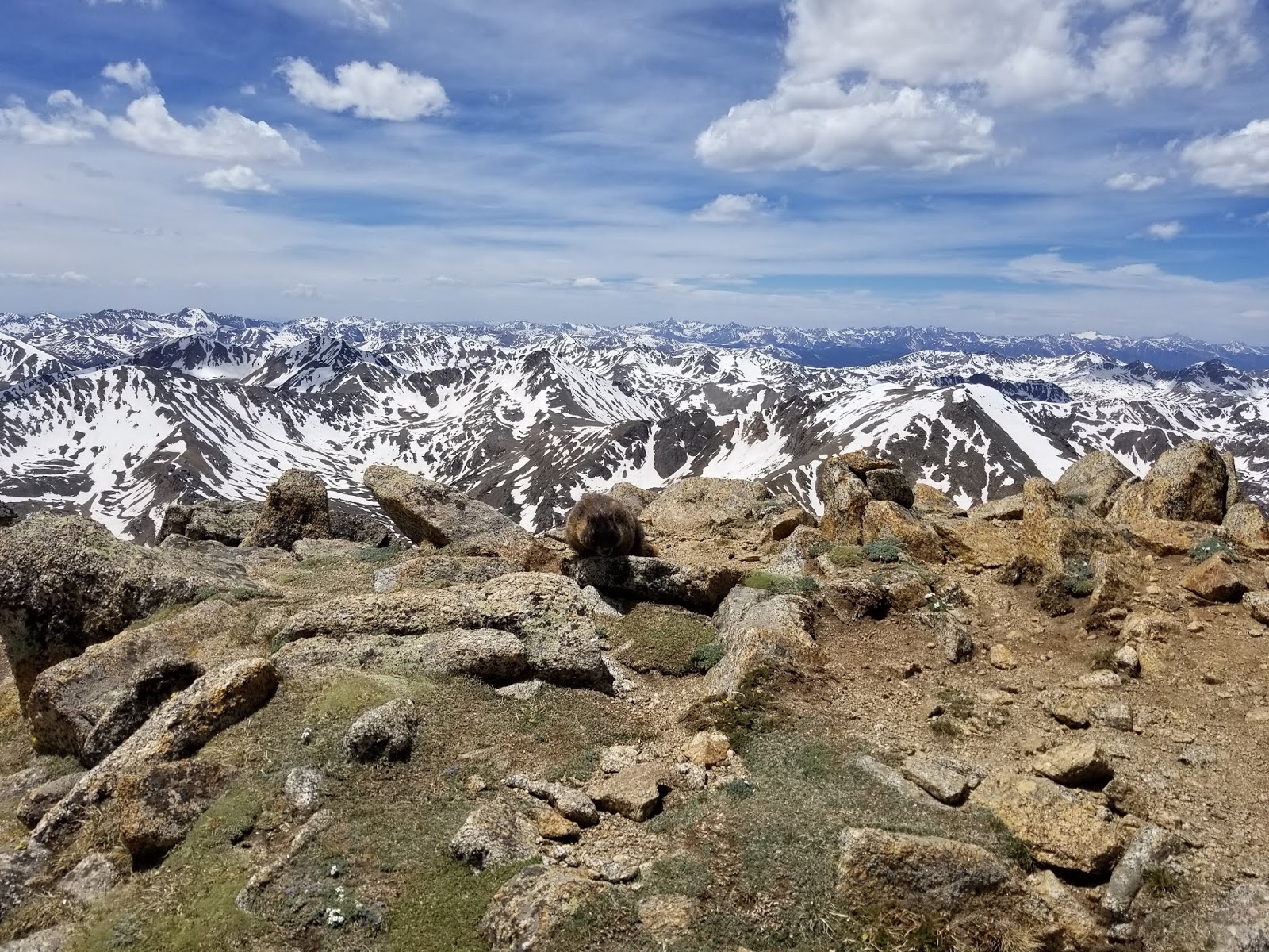 Mount Massive Summit